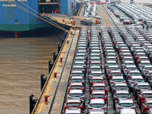 Supply 1250H cell fenders for roll-on/roll-off terminal